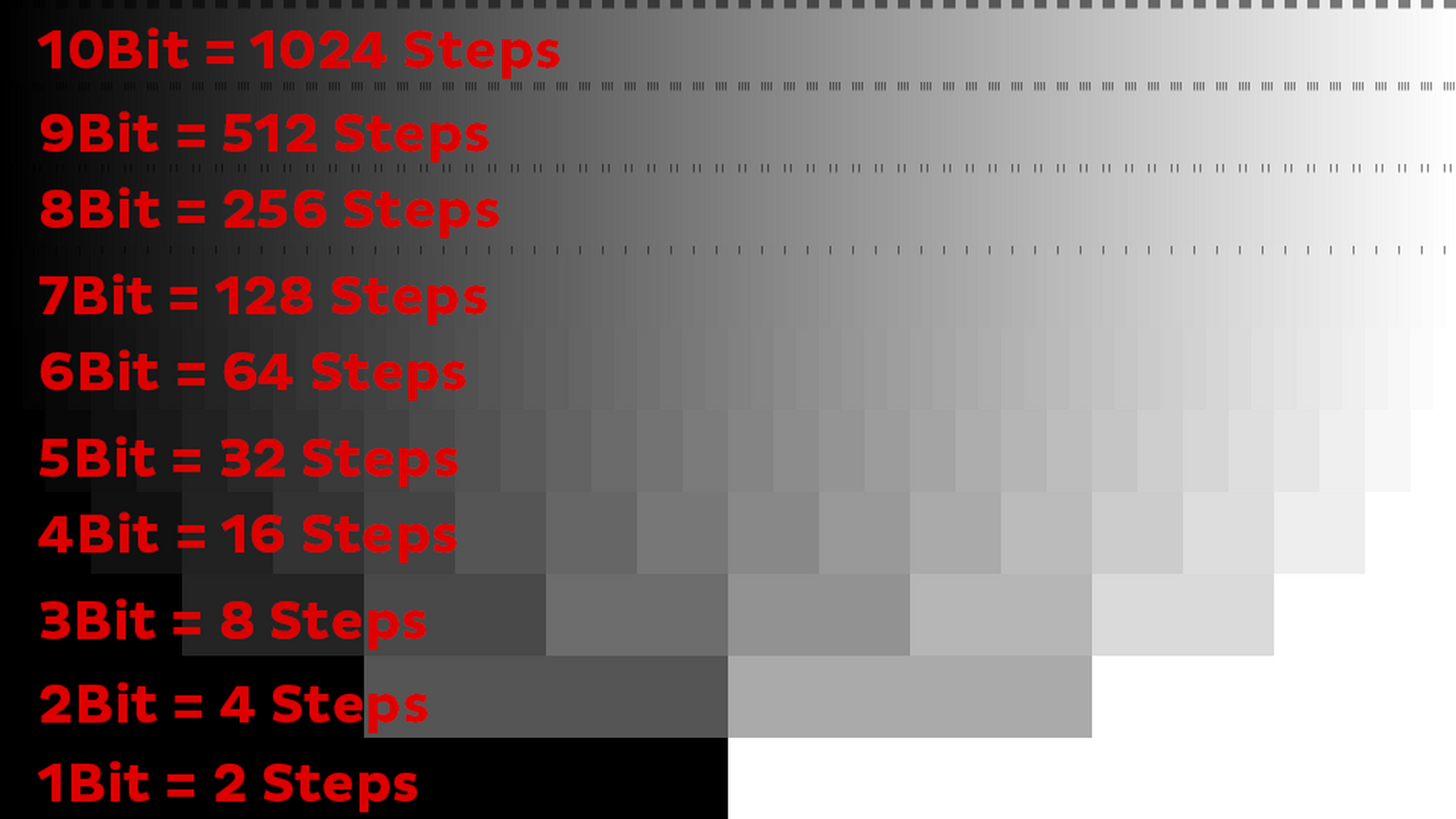 dandelion + burdock | 4k 10bit Line Test