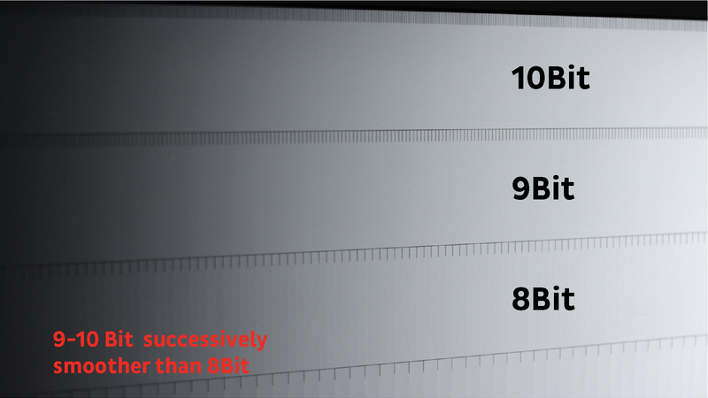 dandelion + burdock | 4k 10bit Line Test